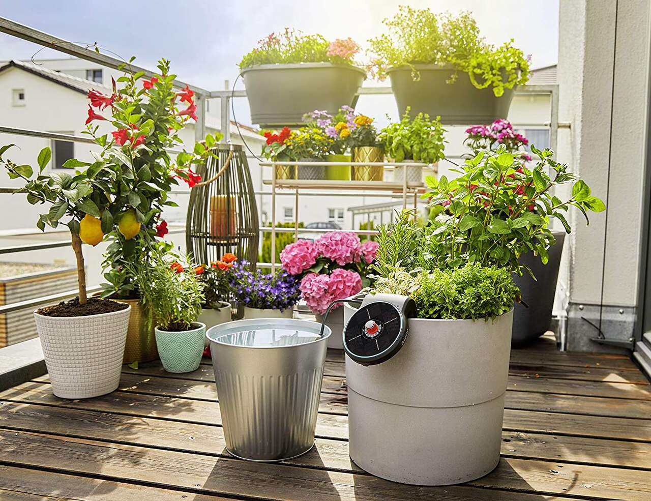 Solar-Bewässerung AquaBloom Set - GardenaSolarbewässerung aquaBloom