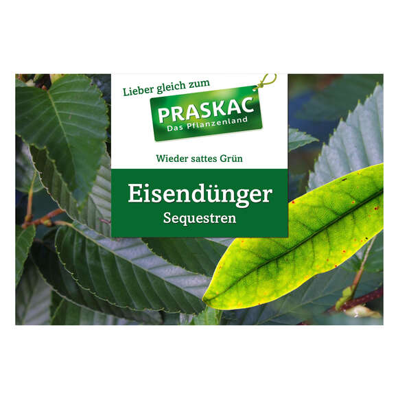 Eisendünger Praskac