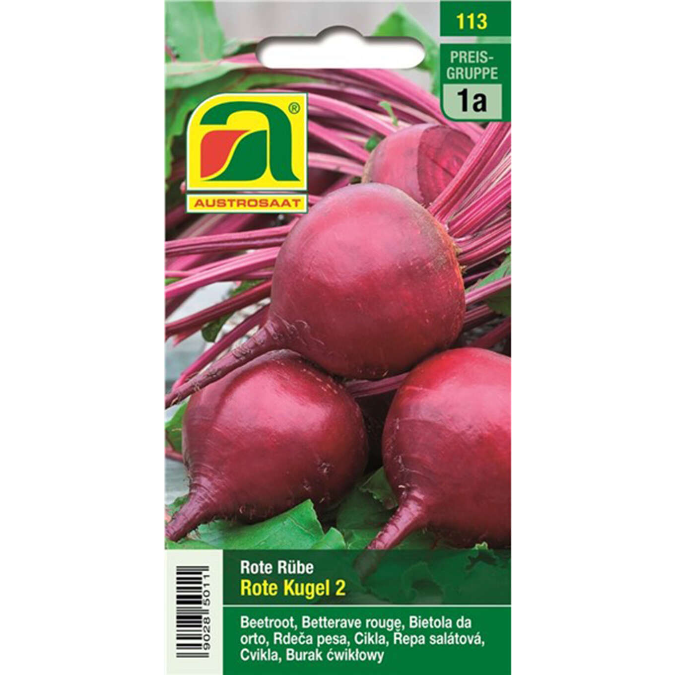 Rote Rüben "Rote Kugel 2"