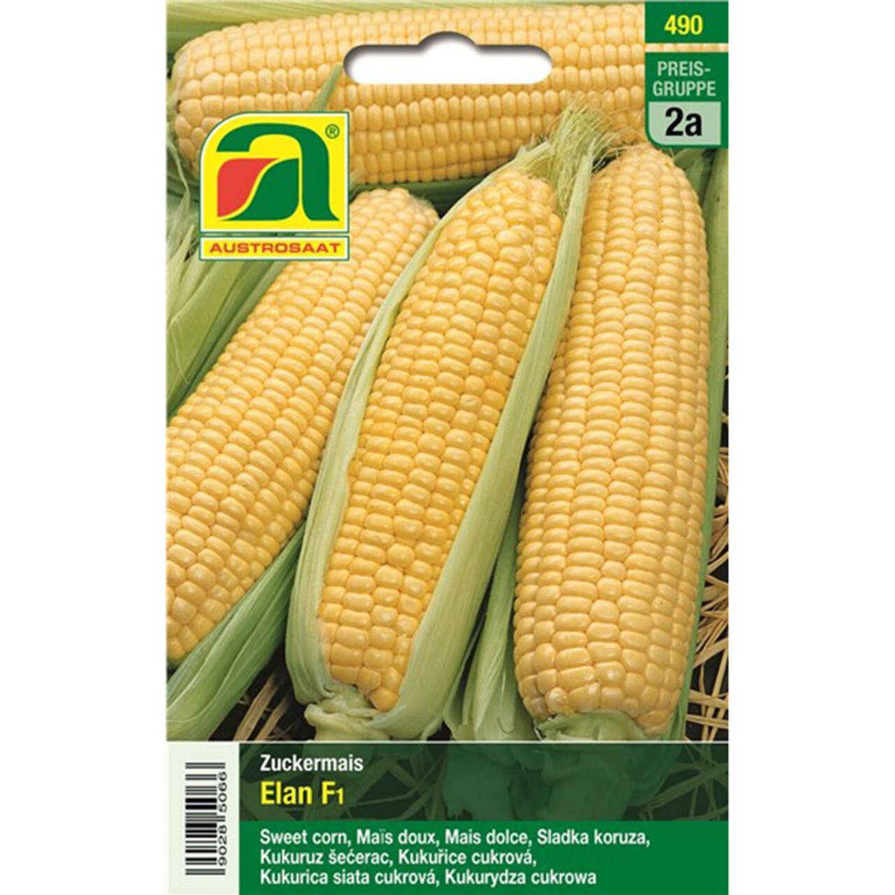 Zuckermais "Elan F1"