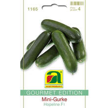 Mini-Gurke "Hopeline F1"