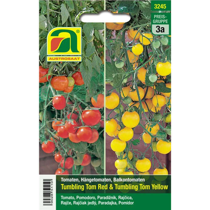 Tomate "Tumbling Tom Red & Yellow"