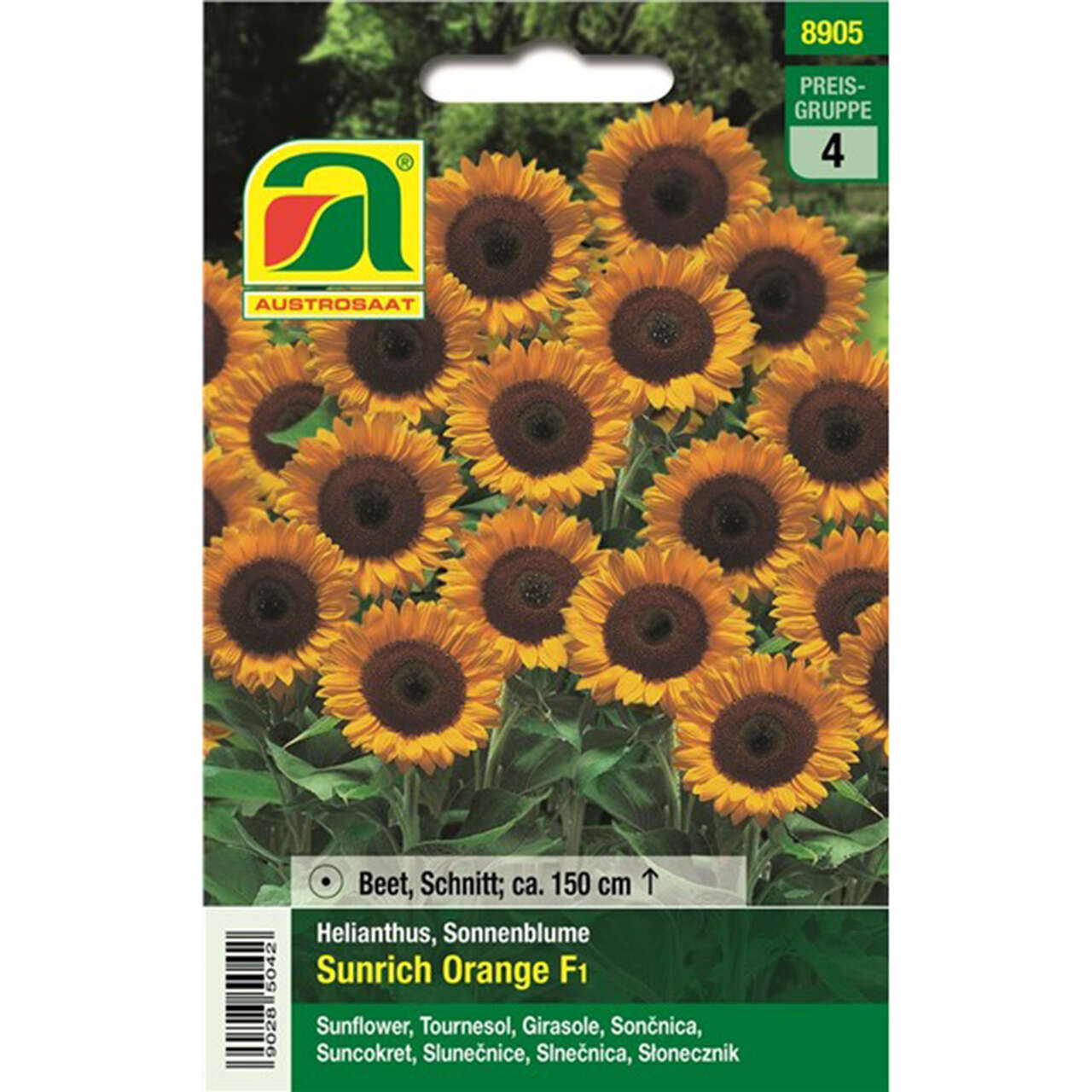 Sonnenblumen "Sunrich Orange F1"