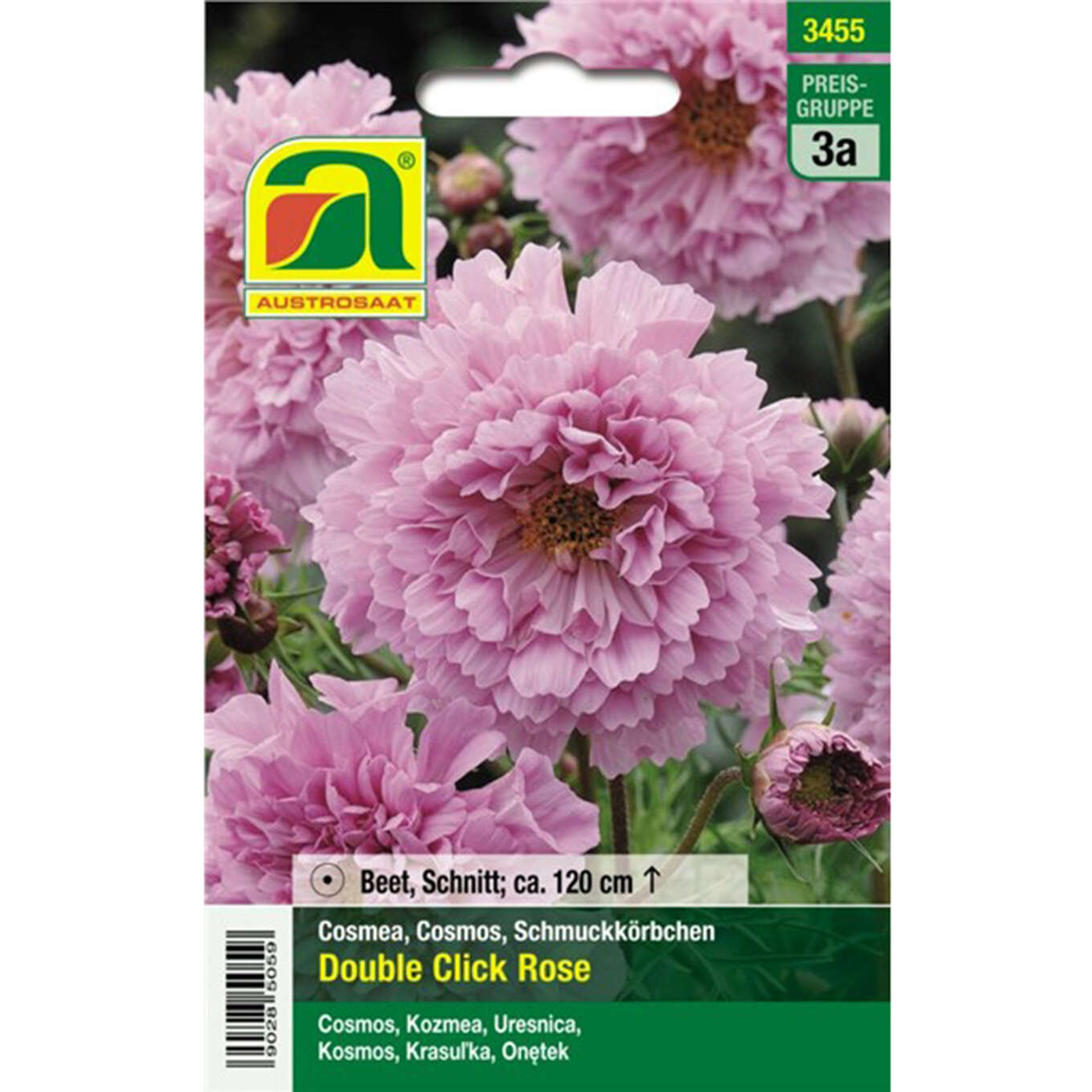 Cosmea "Double Click Rose"