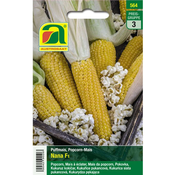 Popcorn-Mais "Nana F1"