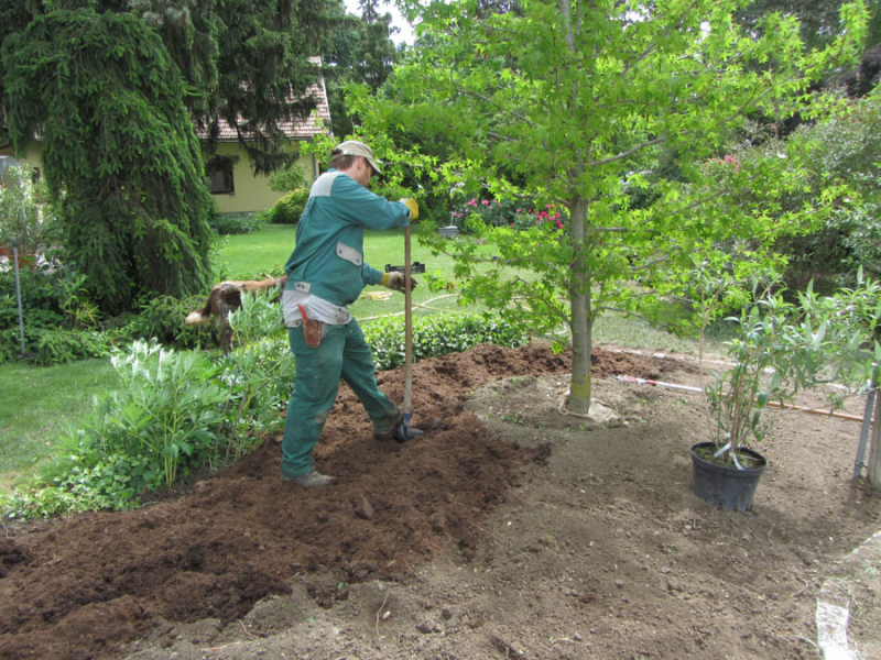 Das Pflanzenland | Lieber gleich zum Praskac - Ihr Online Shop
