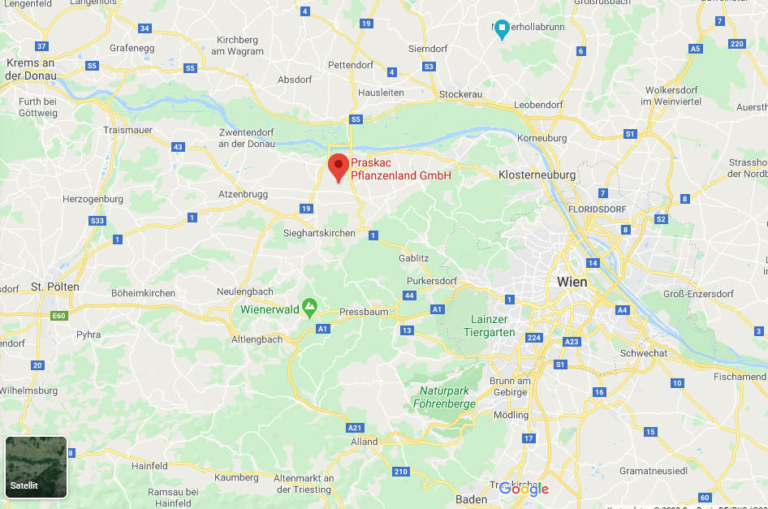 Kontakt Praskac Pflanzenland