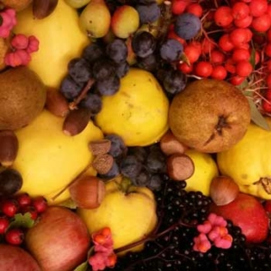 Das Pflanzenland | Lieber gleich zum Praskac - Ihr Online Shop