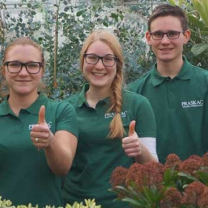 Das Pflanzenland | Lieber gleich zum Praskac - Ihr Online Shop