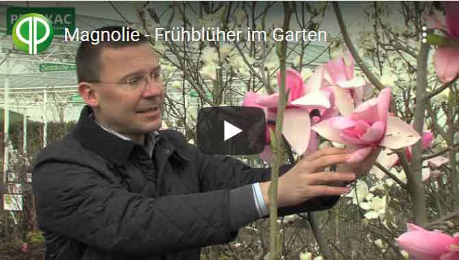 Das Pflanzenland | Lieber gleich zum Praskac - Ihr Online Shop