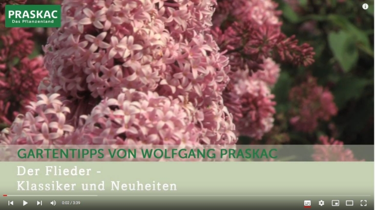 Das Pflanzenland | Lieber gleich zum Praskac - Ihr Online Shop