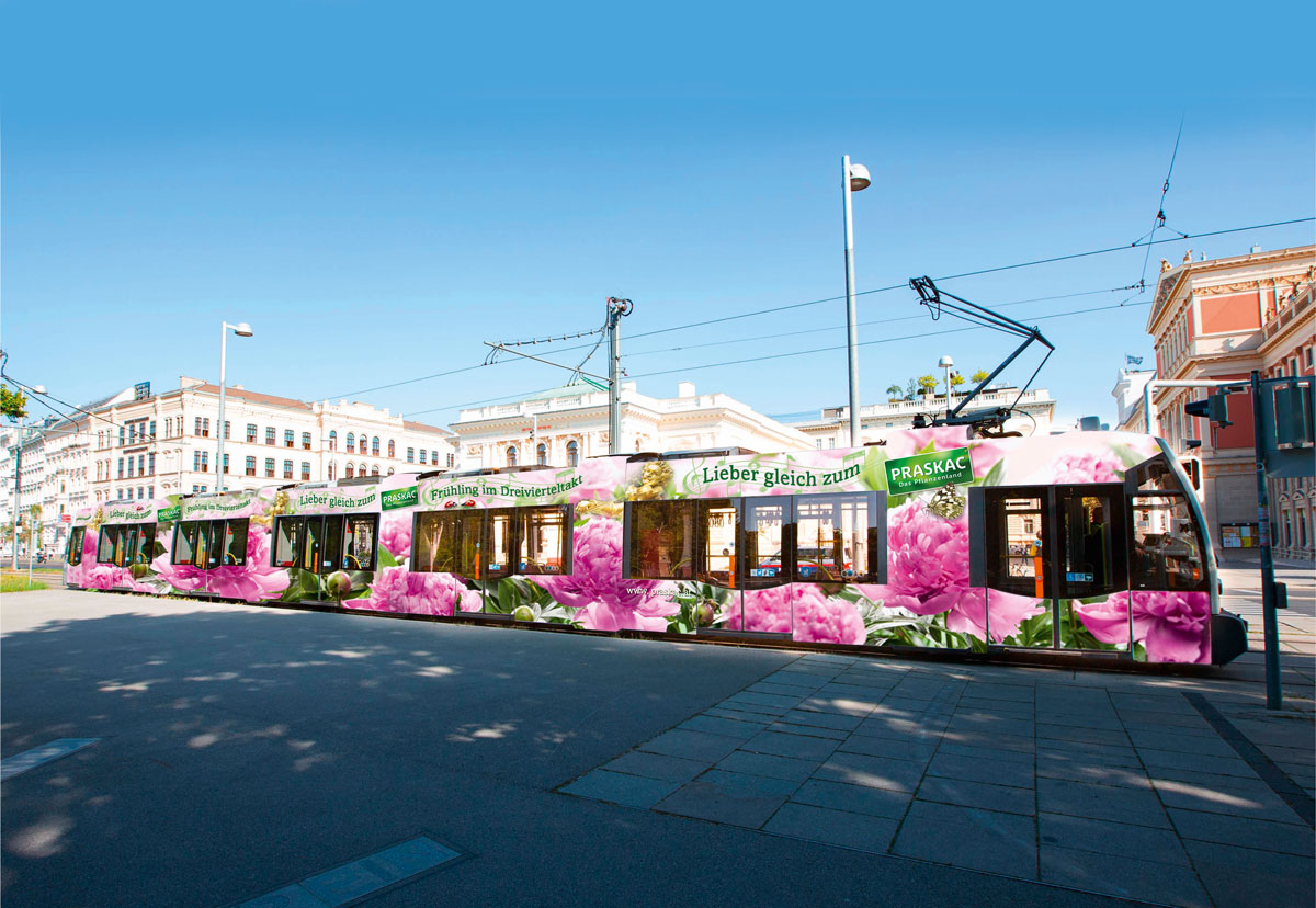 Neuigkeiten und Veranstaltungen bei PRASKAC das Pflanzenland in Tulln